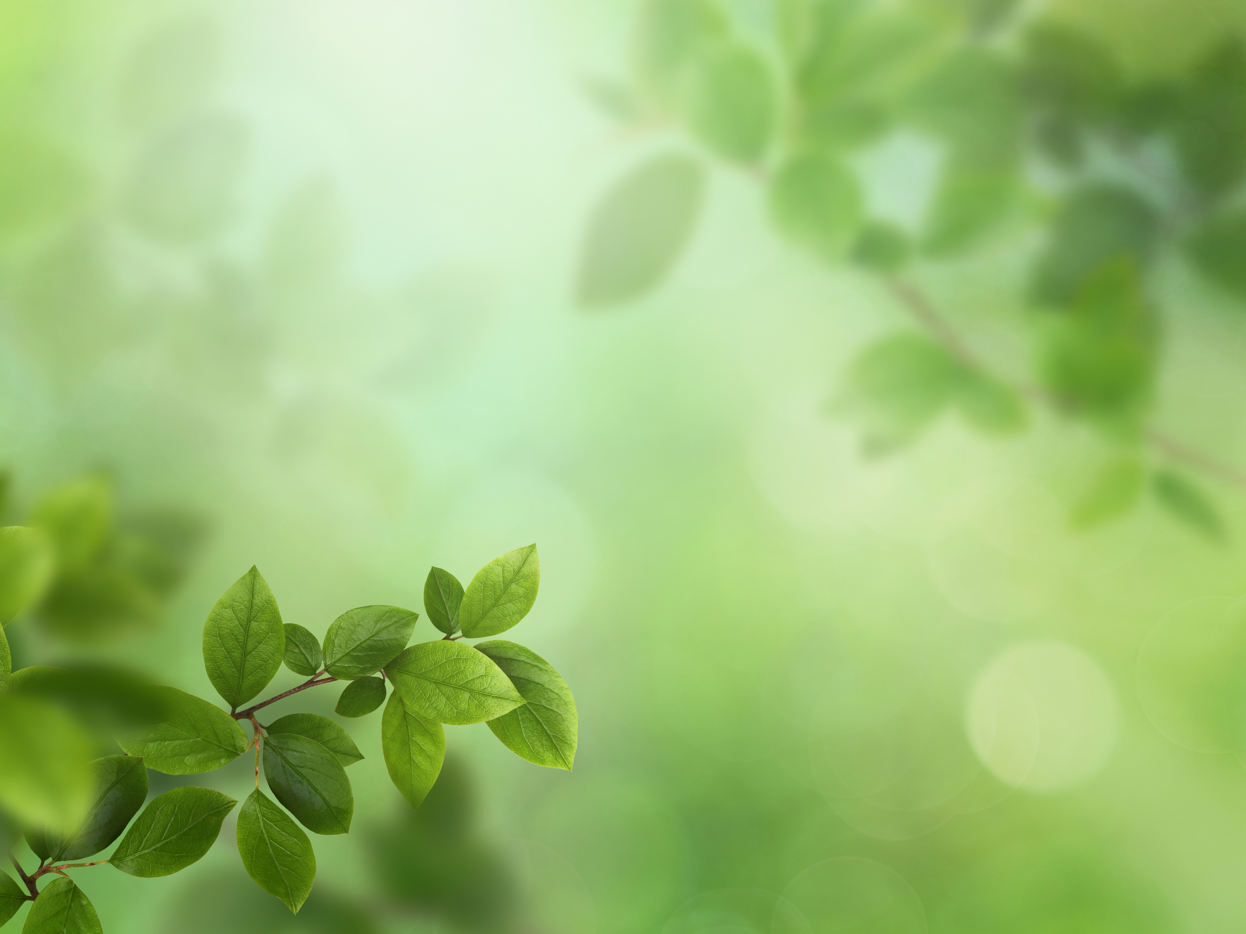 (New Corporate Info) Nippon Light Metal Holdings Company,Ltd. Progress ...